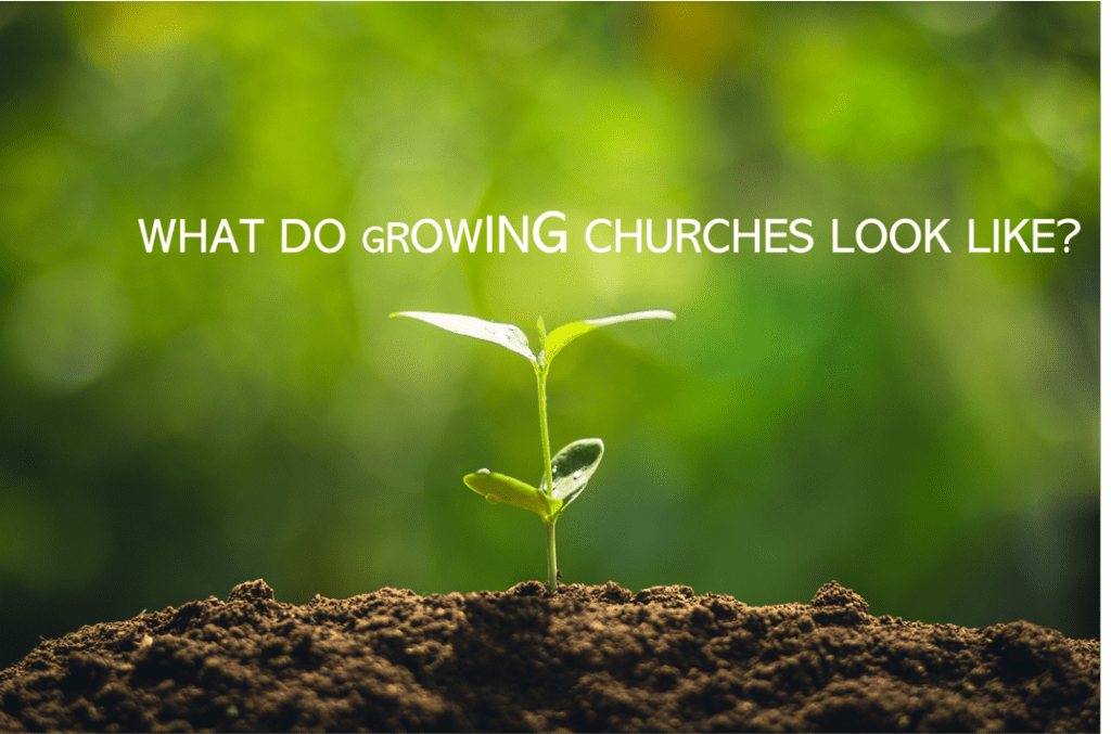 What do growing churches look like? | Cross Cultured Church
